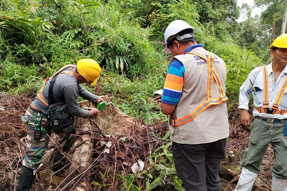 Forest Certification - Sapulut Forest Development