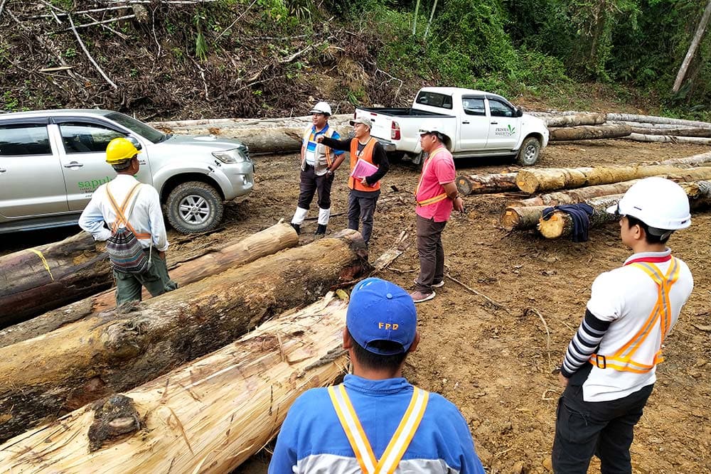 Forest Certification - Sapulut Forest Development