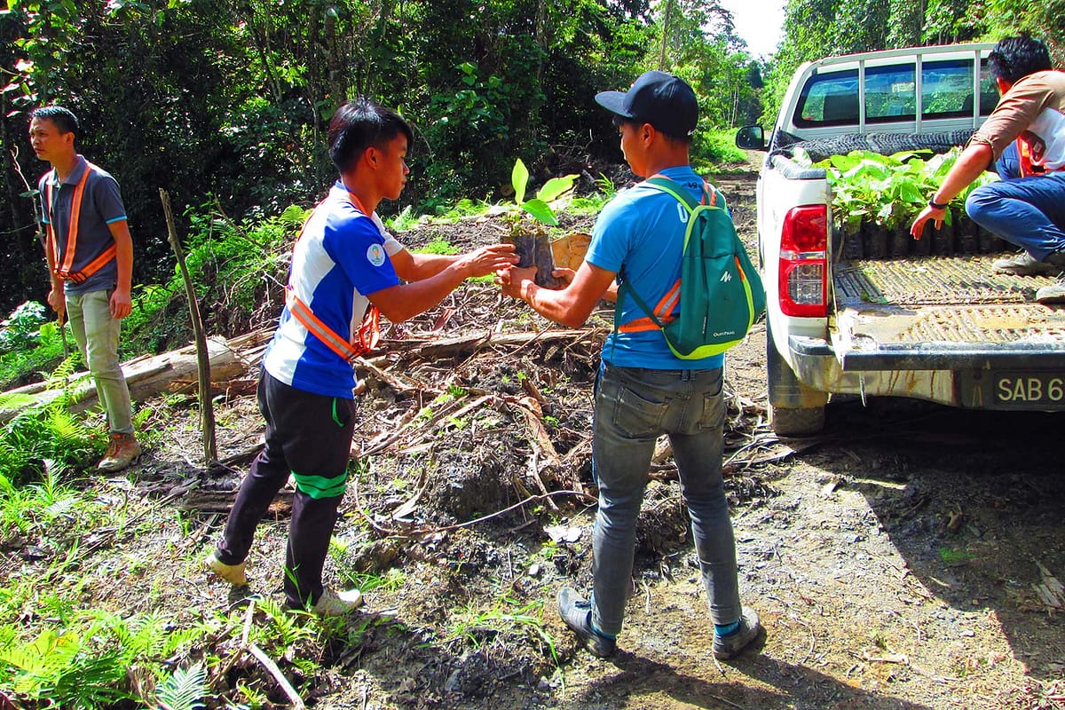 Lean Six Sigma Training and Coaching - Sapulut Forest Development