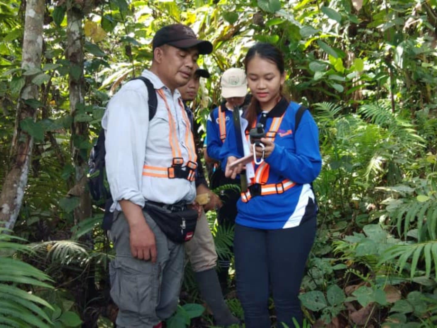 Intern’s Experience in Sapulut - Sapulut Forest Development