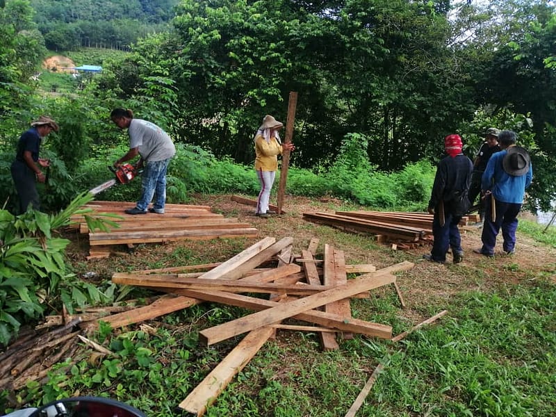 Forever Sabah's Padi Land Revival Project - Sapulut Forest Development