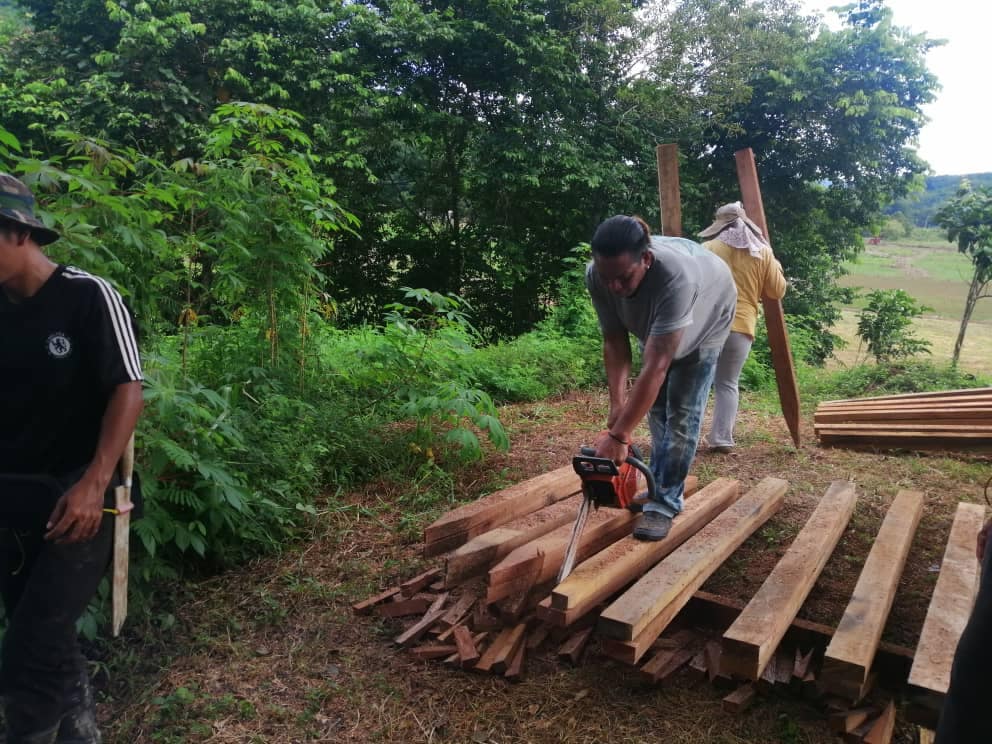 Forever Sabah's Padi Land Revival Project - Sapulut Forest Development